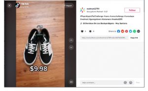 Dupes - NYU Journal of Intellectual Property & Entertainment Law